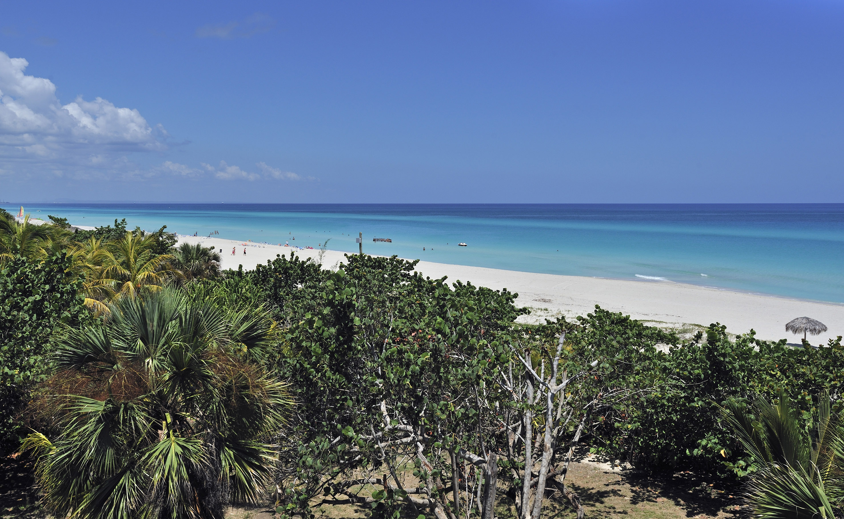 Sol Varadero Beach - Adults Only Hotel - Meliá Cuba Hotels
